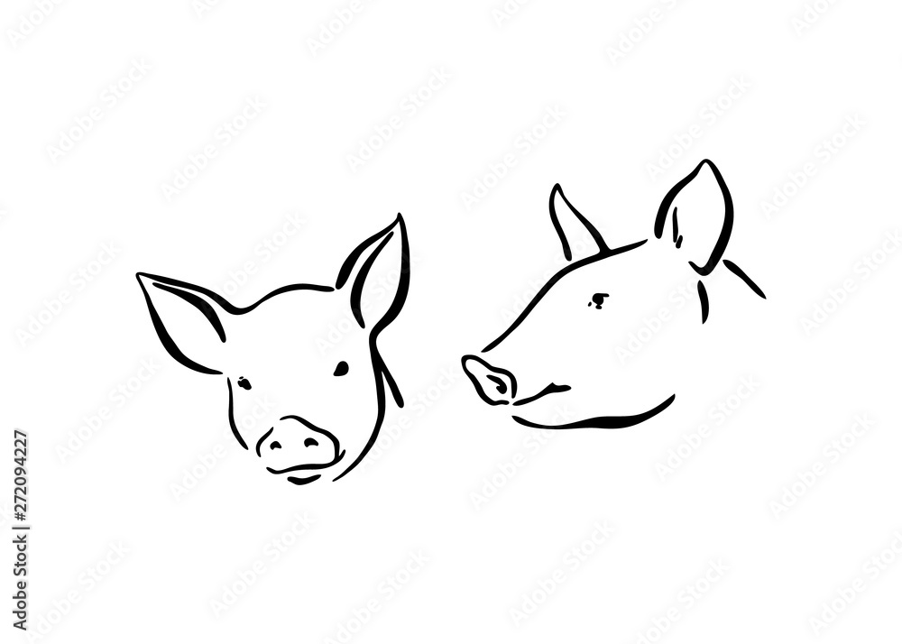 Two hand drawn cute pig sketch illustration. Vector black ink drawing ...