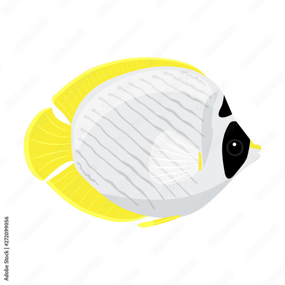 Butterfly fish on white background. Philippine butterfly fish. cartoon ...
