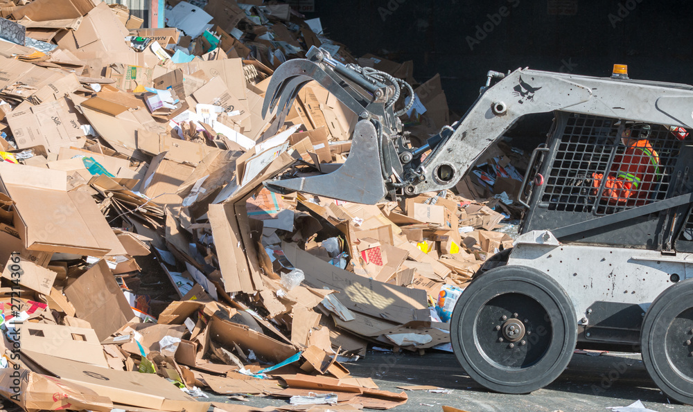 A bobcat operator piles waste cardboard for processing at a commercial ...