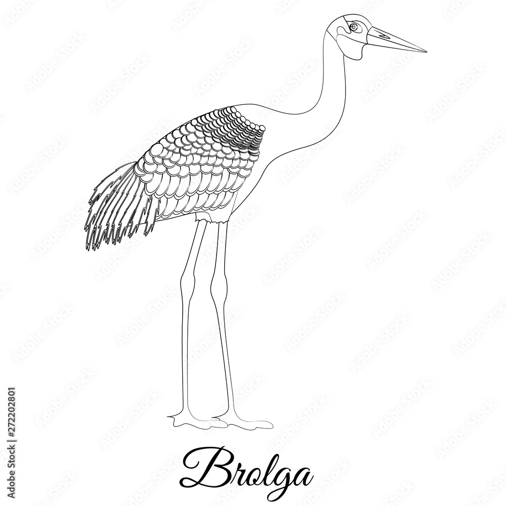 Brolga Coloring Crane Drawing Bird Illustration Australian Antistress ...