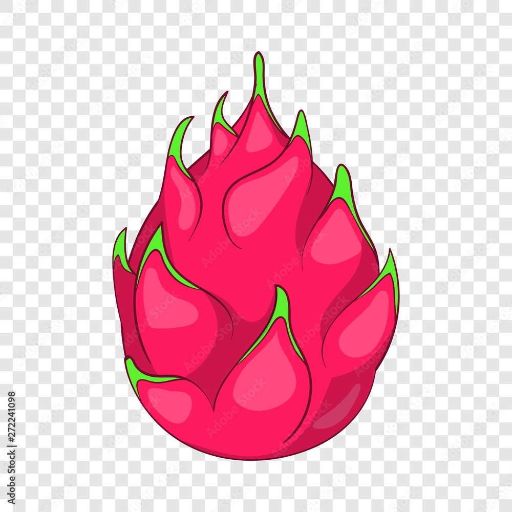 Dragon fruit icon. Cartoon illustration of dragon fruit vector icon for ...