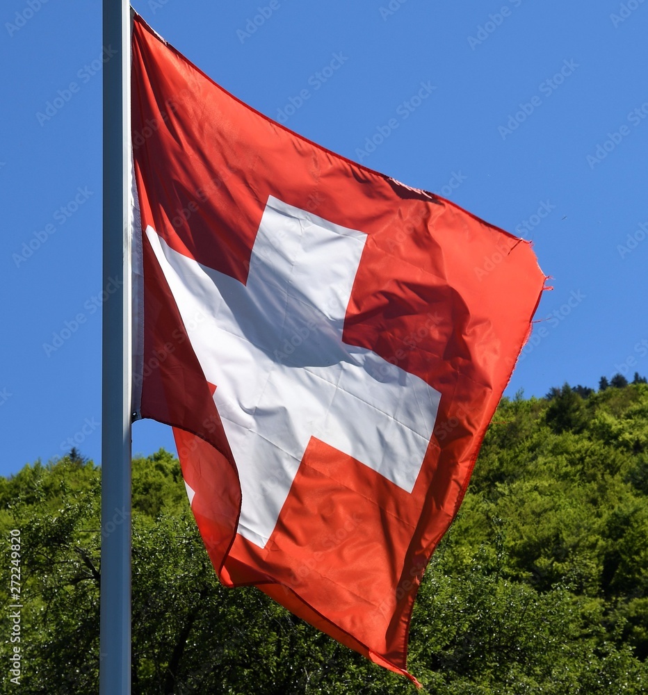 drapeau suisse ภาพถ่ายสต็อก | Adobe Stock