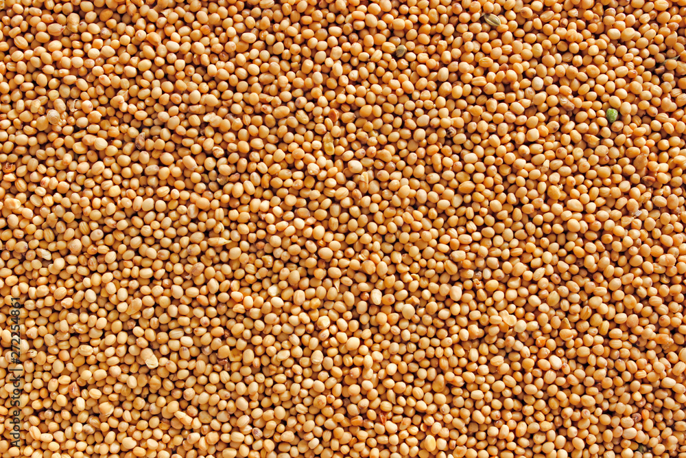 Texture mustard seeds top view. Indian mustard background Stock Photo ...