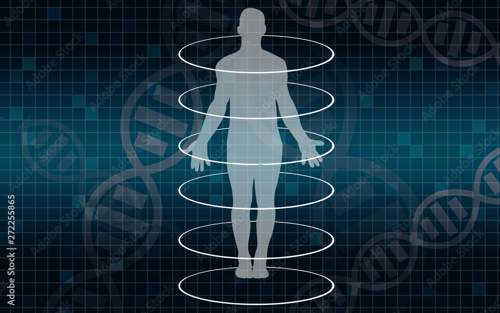 Human body medical scan on a blue background Stock Illustration | Adobe ...