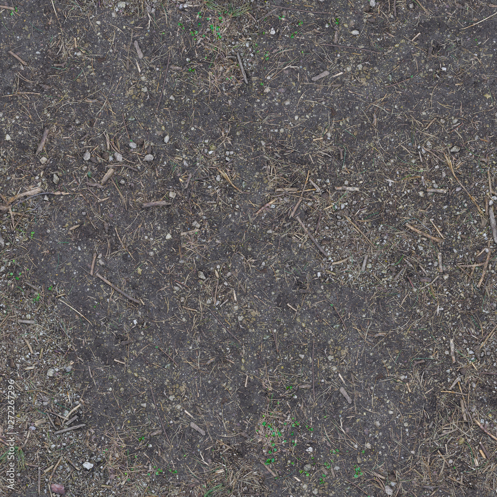 Forest soil with a texture under the feet.Texture or background Stock ...
