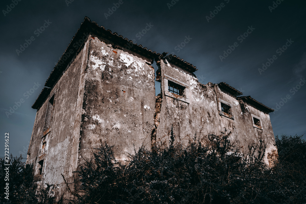 An abandoned dilapidated antique building with thickets of bushes ...