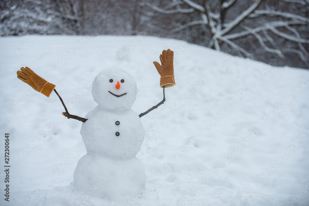 Snowman in a scarf and hat. Greeting snowman. Cute snowmen standing in ...