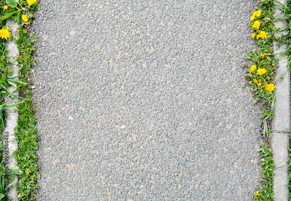 Texture of rough asphalt road with grass and flowers of Dandelion at ...