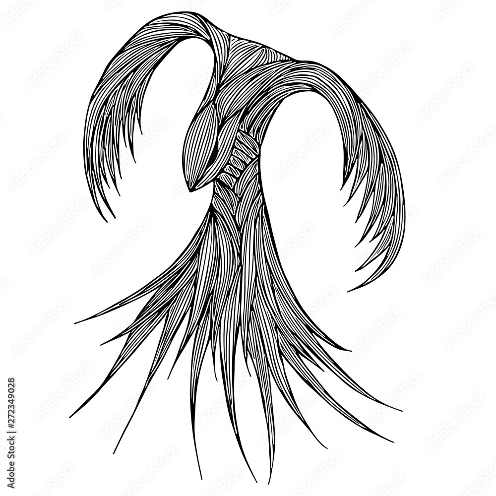 Phoenix Fire bird illustration and character design. Phoenix fire bird ...