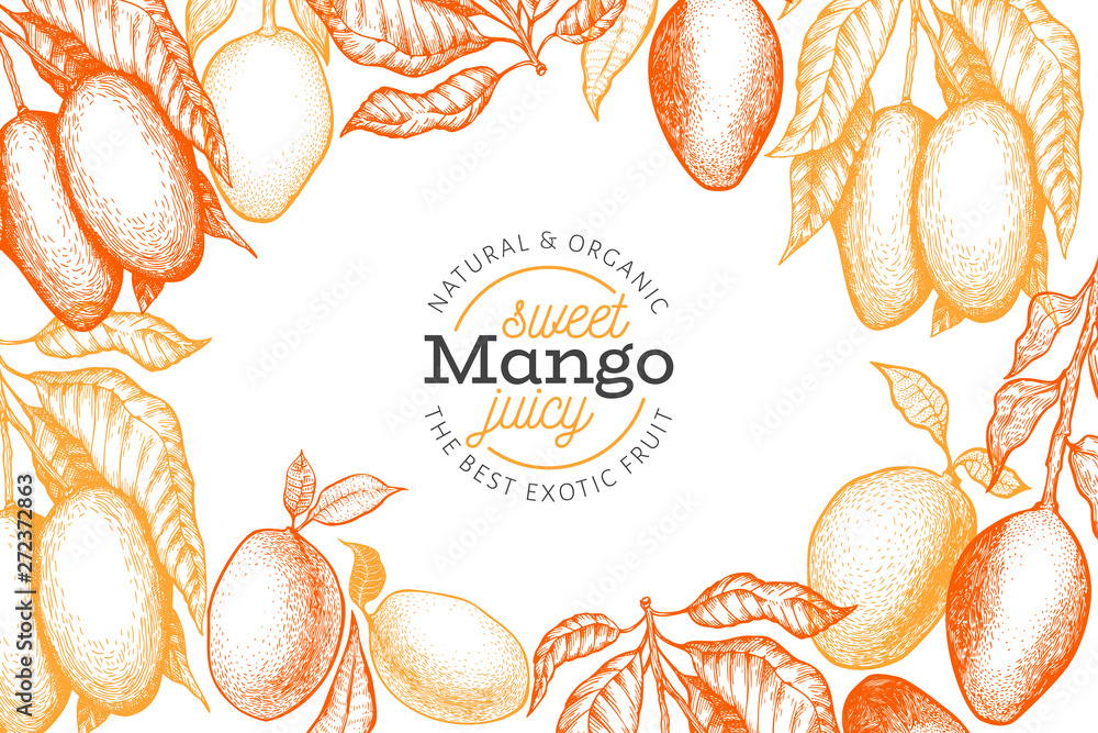 Mango design template. Hand drawn vector tropic fruit illustration ...