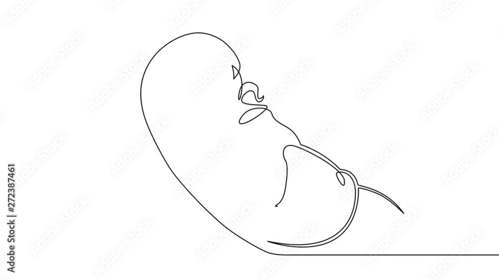 Self drawing simple animation of single continuous one line drawing bed ...