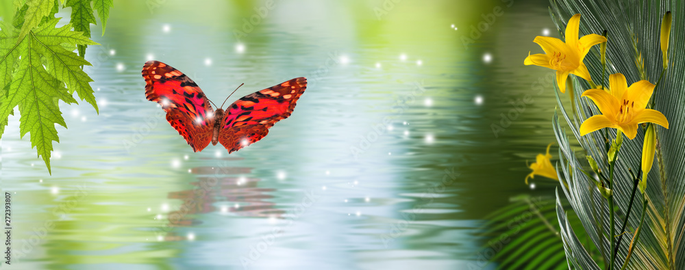 image of flowers and butterflies on water background Stock Photo ...