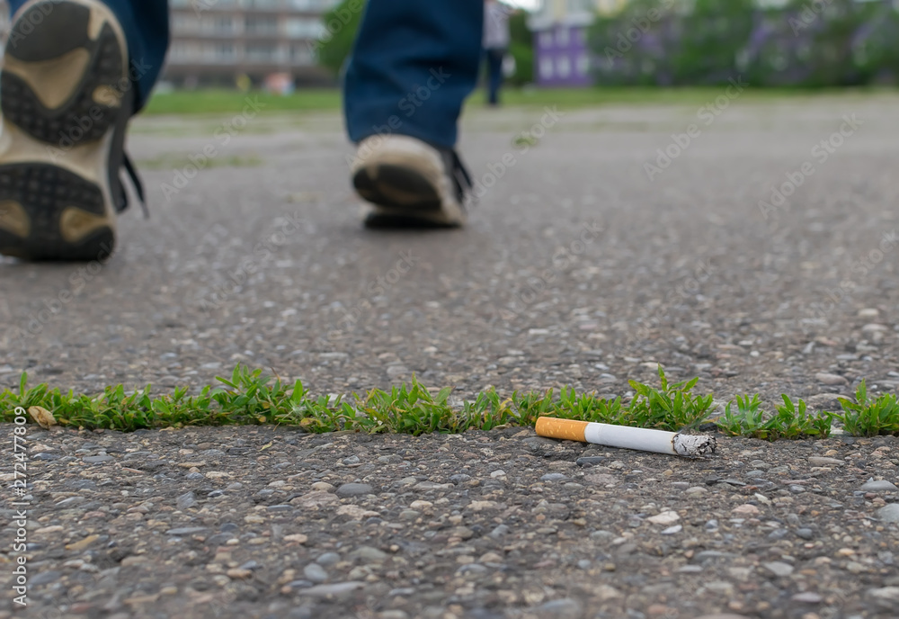 an abandoned Smoking cigarette butt lies on an asphalt path against the ...