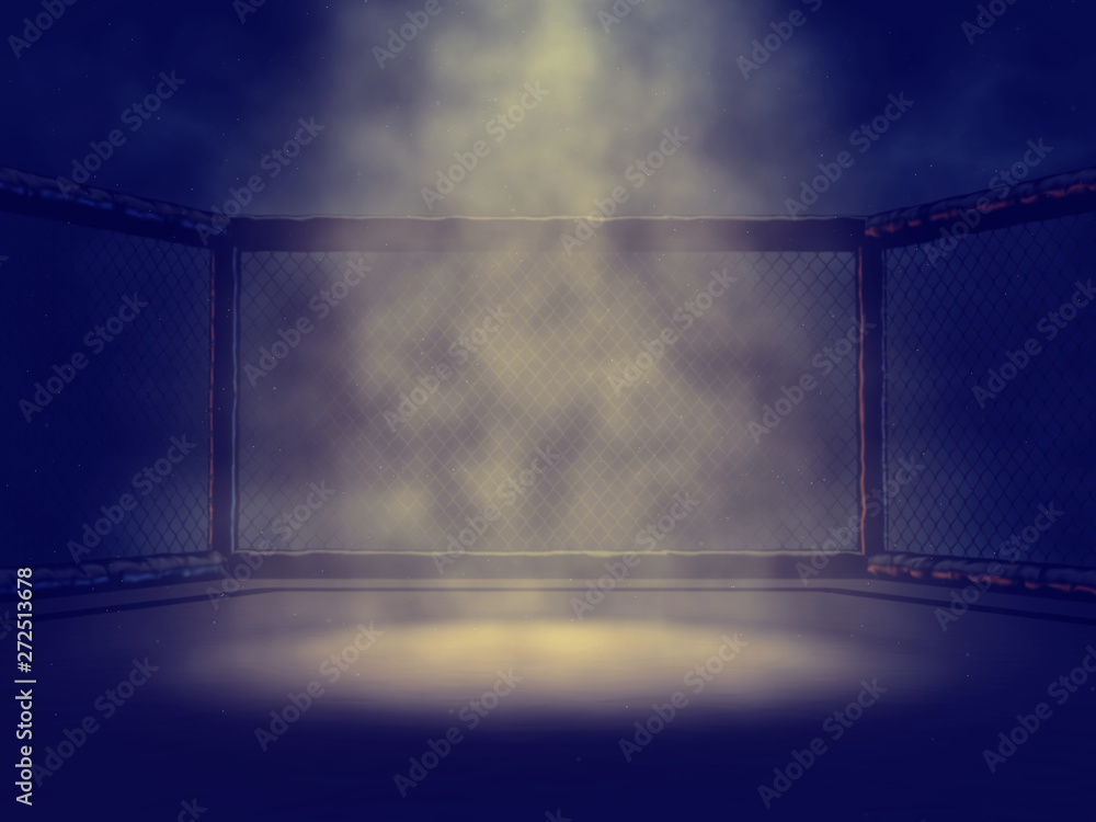 Inside Mma Cage