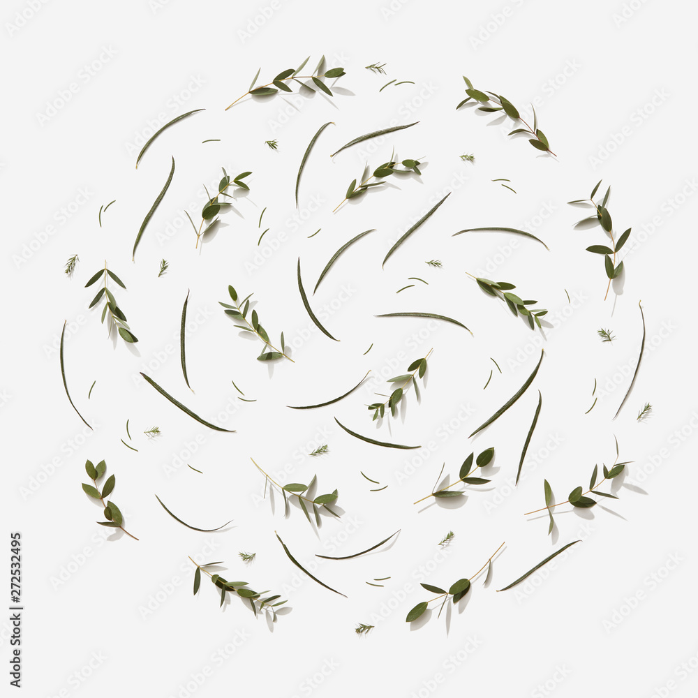 Pattern of fresh green twigs and leaves in the shape of a circle on a ...