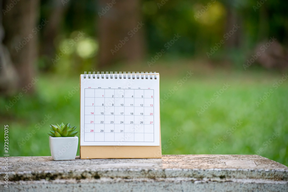 Desktop Calendar 2019 and cactus place on wooden office desk,for ...