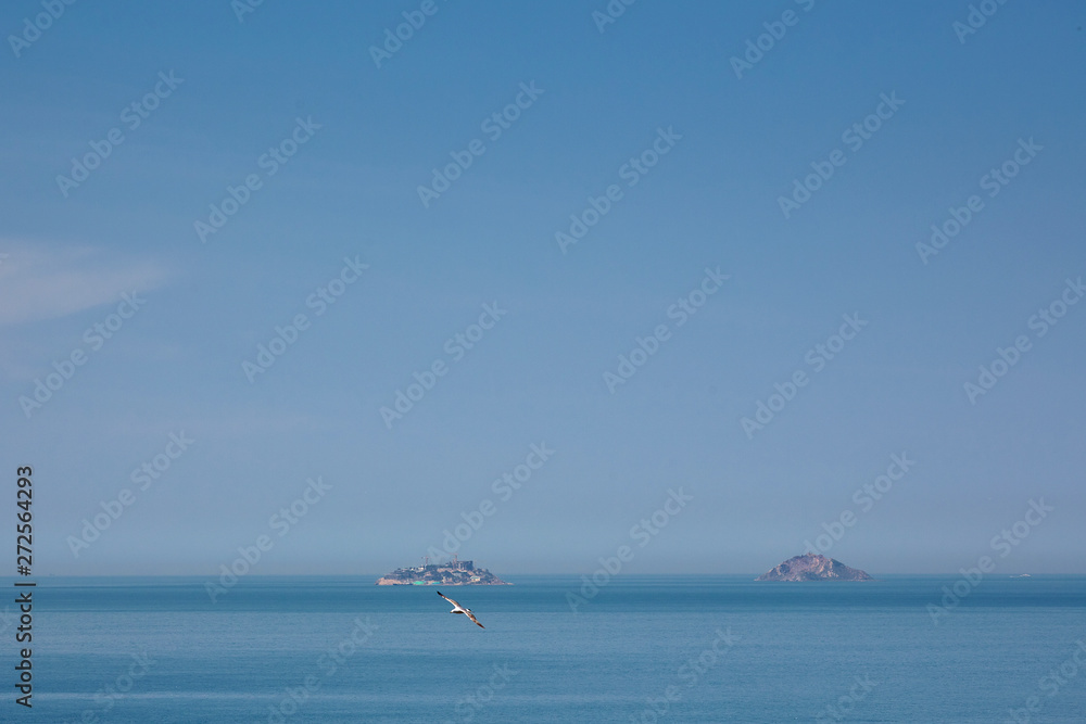 Seagull, Islands and the Sea. Yassiada and Sivriada Princes' Islands ...