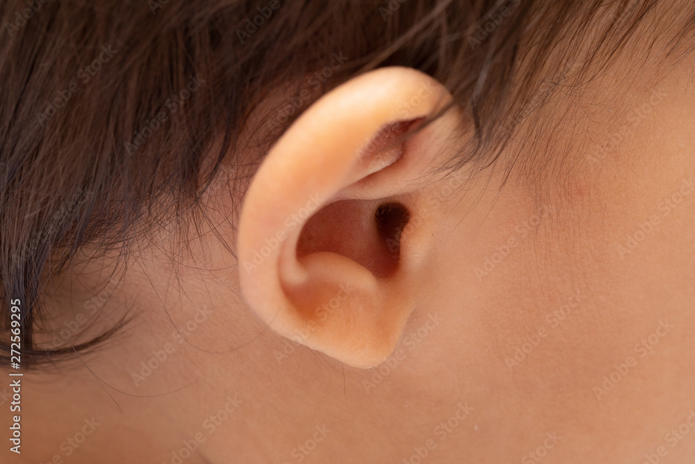 A closeup view on the outer ear and auditory canal of an infant ...