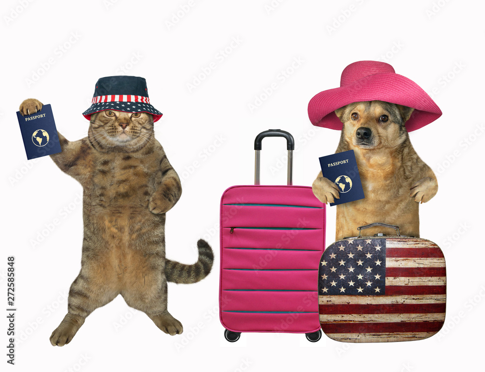 The dog and the cat tourist with suitcases and international passports ...