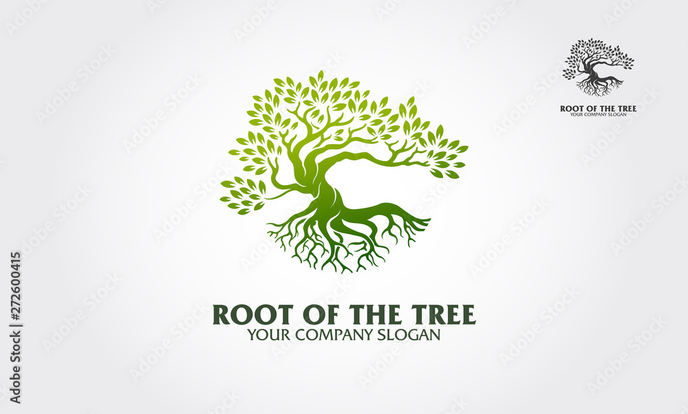 Root of the Tree logo illustrating a tree roots, branches. Excellent ...