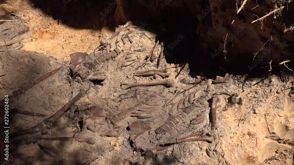 Exhumation is the act of digging up, especially a corpse. This is most ...