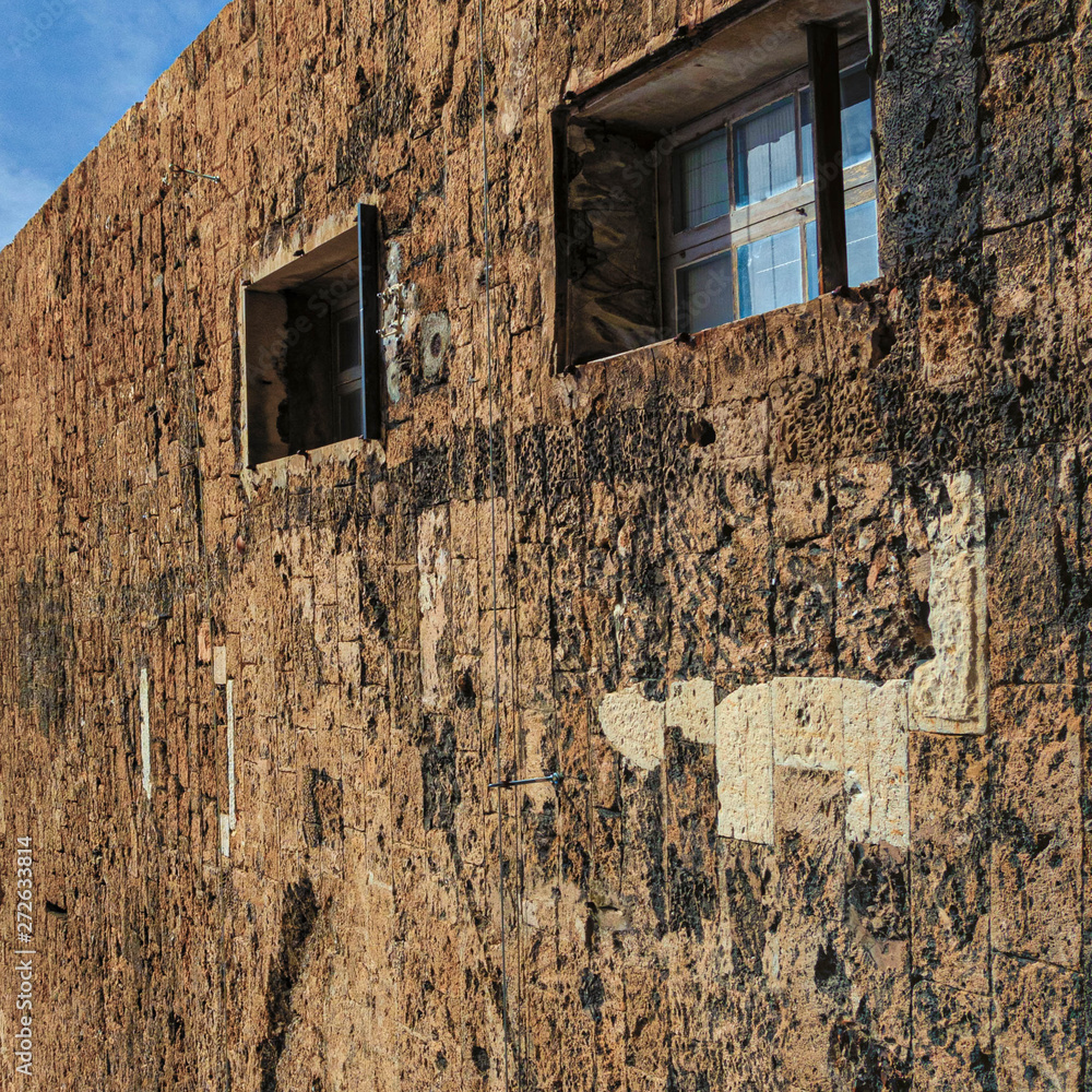 Dog on a wall. Miracles of a bricklaying and foreshortening. foto de ...