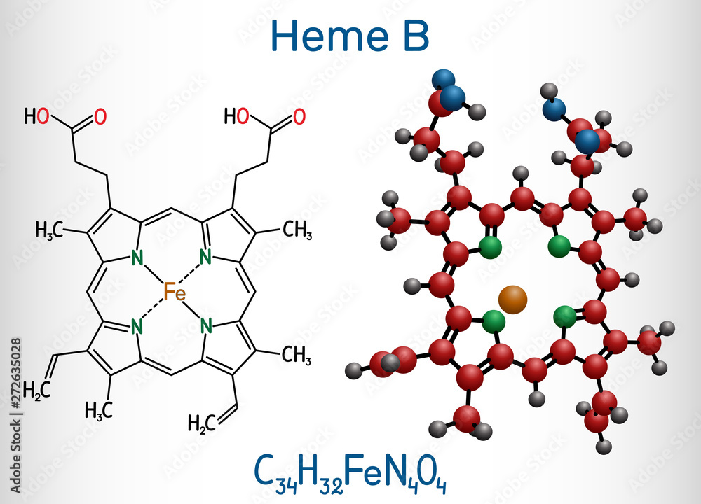 Heme B, haem B, protoheme IX molecule. It is component of hemoglobin, myoglobin, peroxidase and ...
