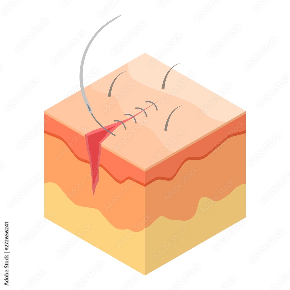 Surgical suture icon. Isometric of surgical suture vector icon for web ...