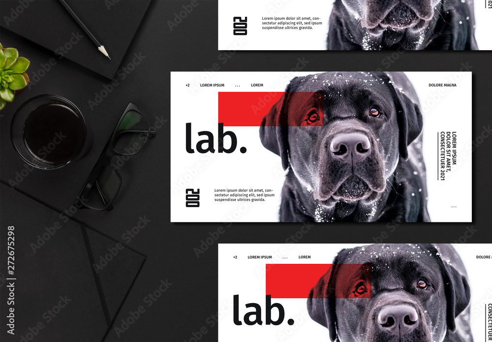 Flyer Layout with Dog Image Stock Template | Adobe Stock