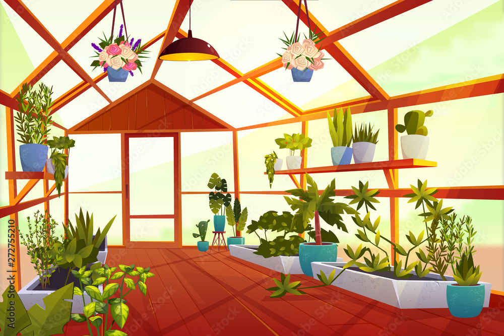 Greenhouse interior with garden inside. Large bright empty orangery ...