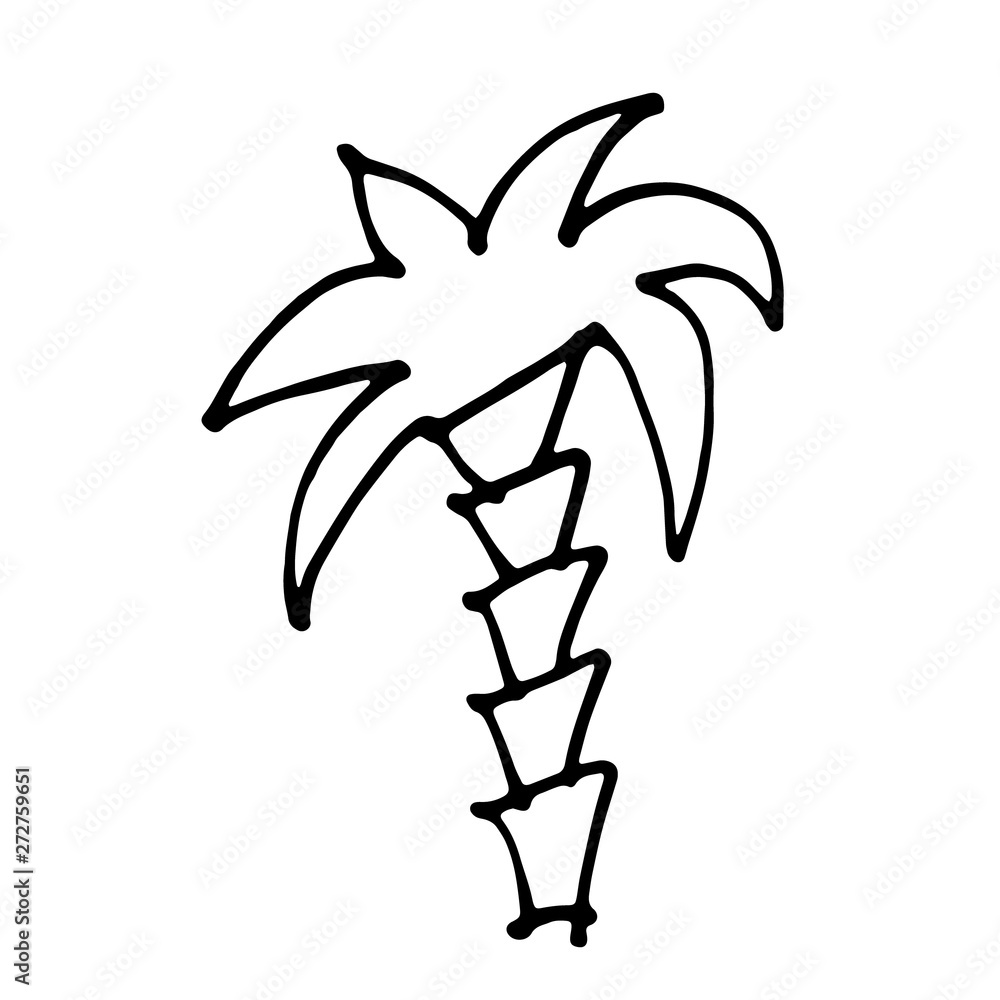 vector doodle illustration of a simple palm tree, in black outlines ...
