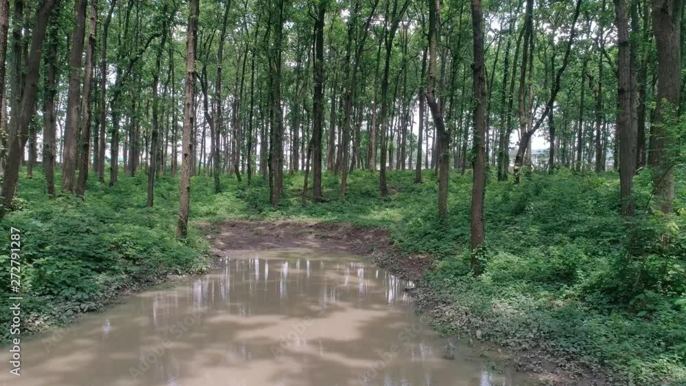 Rainwater Harvesting in forest of Upper Himalayas, Uttarakhand India ...