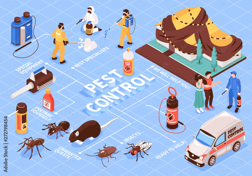 Pest Control Isometric Flowchart Stock Vector | Adobe Stock