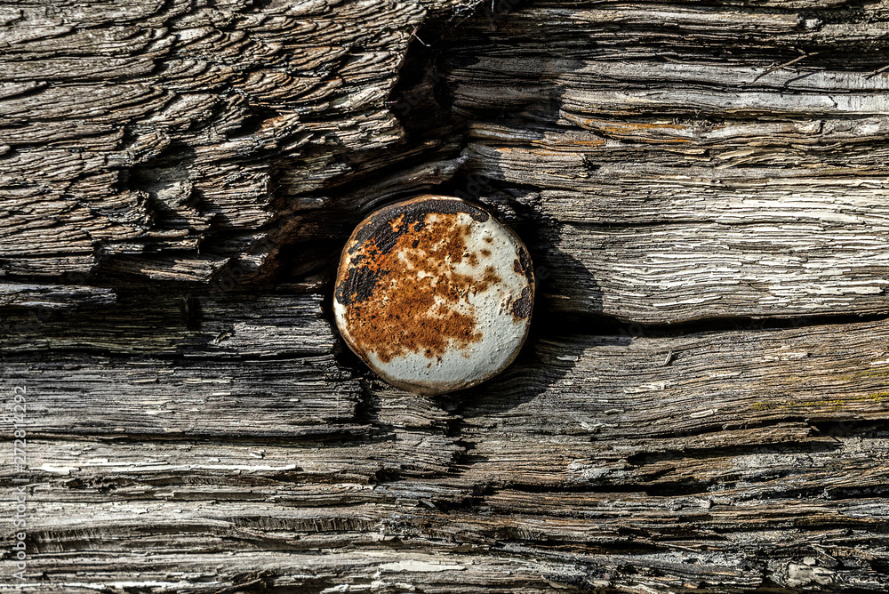 Foto de Rusty nail head hobnailed deep in old forest tree trunk wood ...