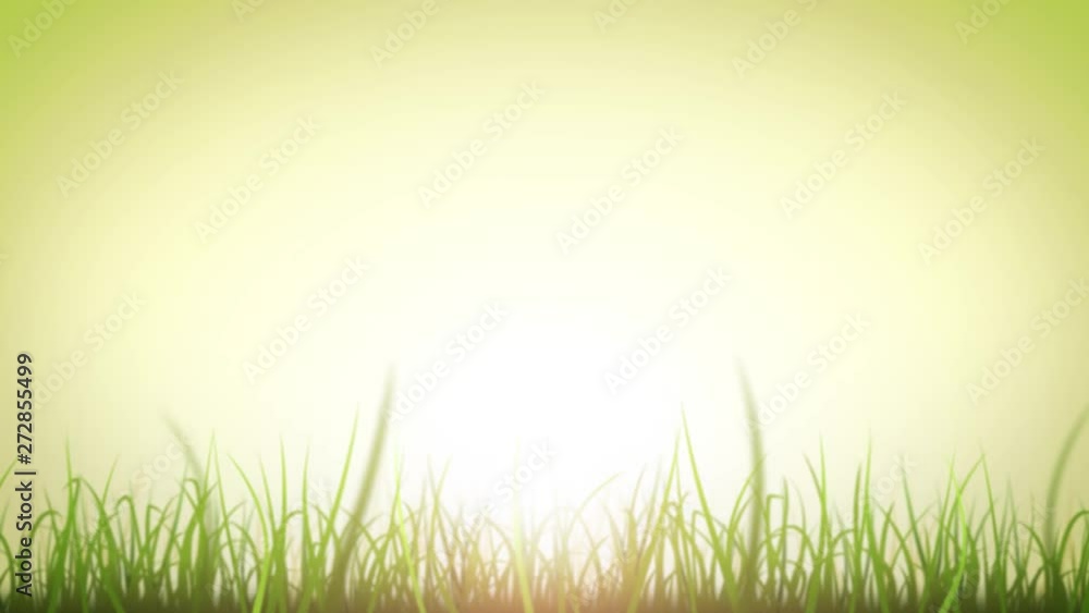 Grass Leaves On Beautiful Sky Background Loop/ 4k animation of a ...