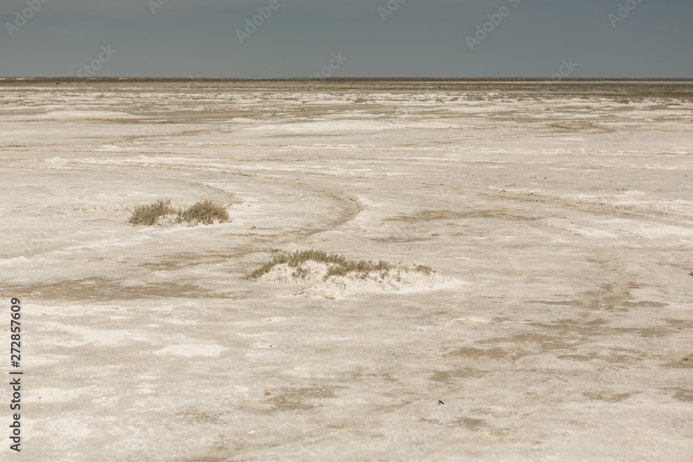 Consequences of Aral sea catastrophe. Sandy salt desert on the place of ...