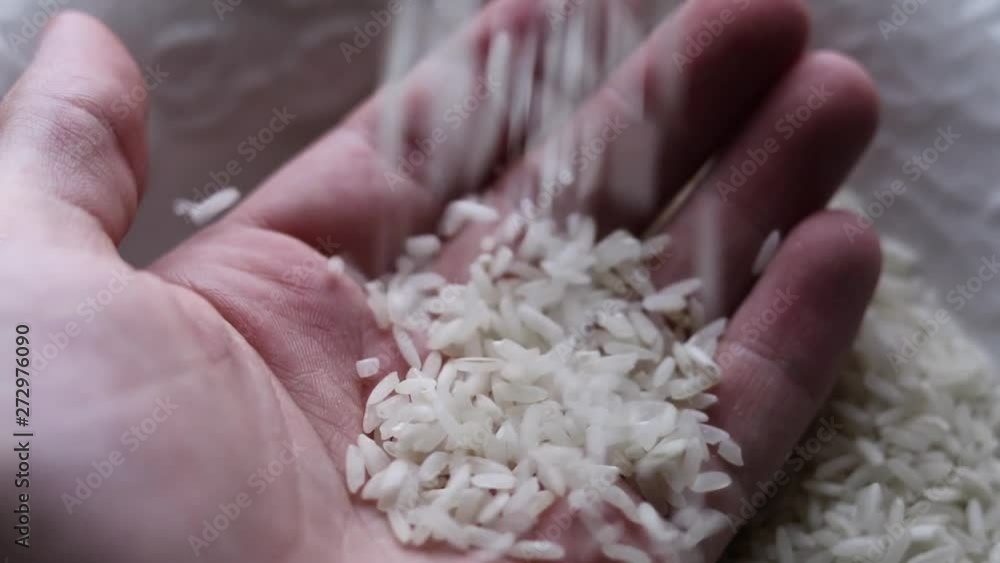 White Rice Falling into Hand Over Bowl Slow Motion Close Up. Generosity ...