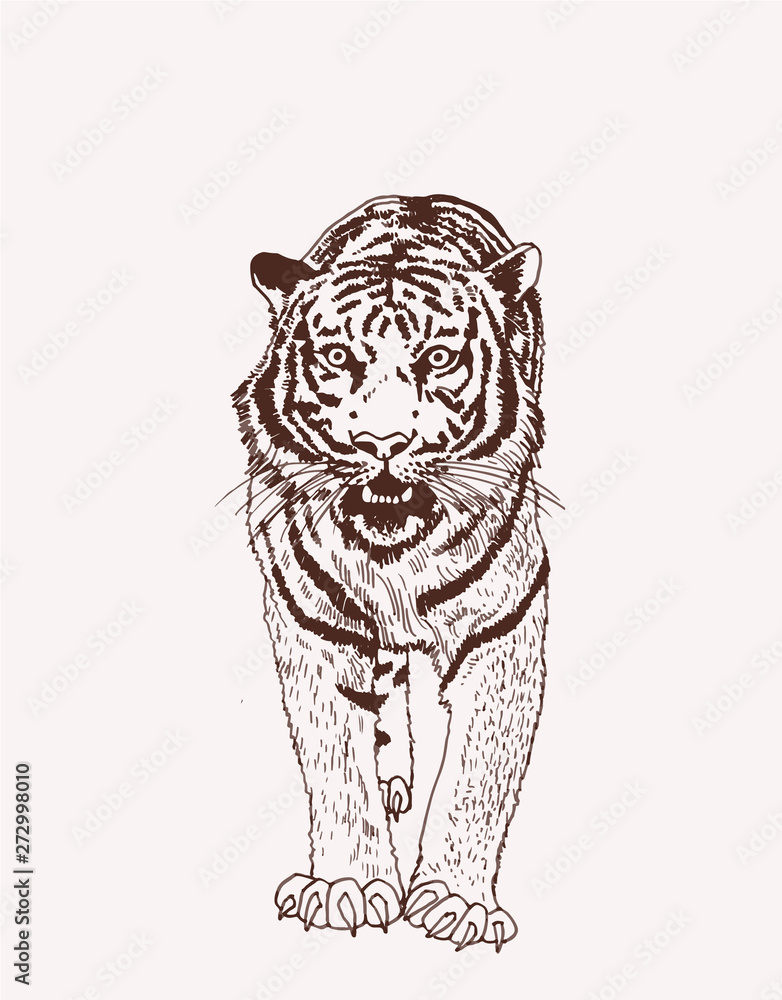 Vintage tiger standing , vector retro illustration Stock Vector | Adobe ...