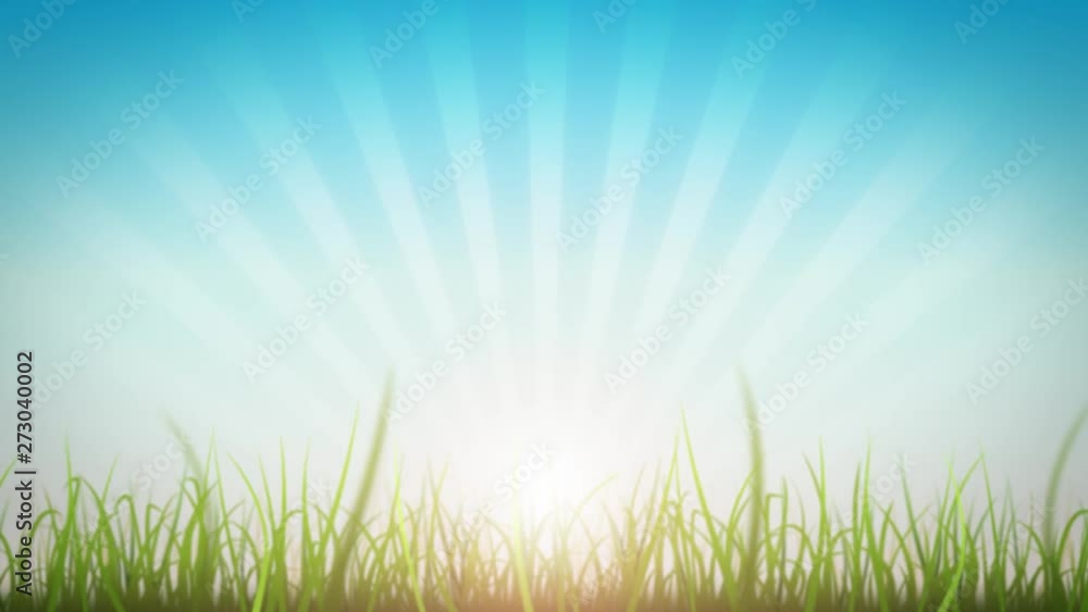 Grass Leaves On Beautiful Sky Background Loop/ 4k animation of a ...