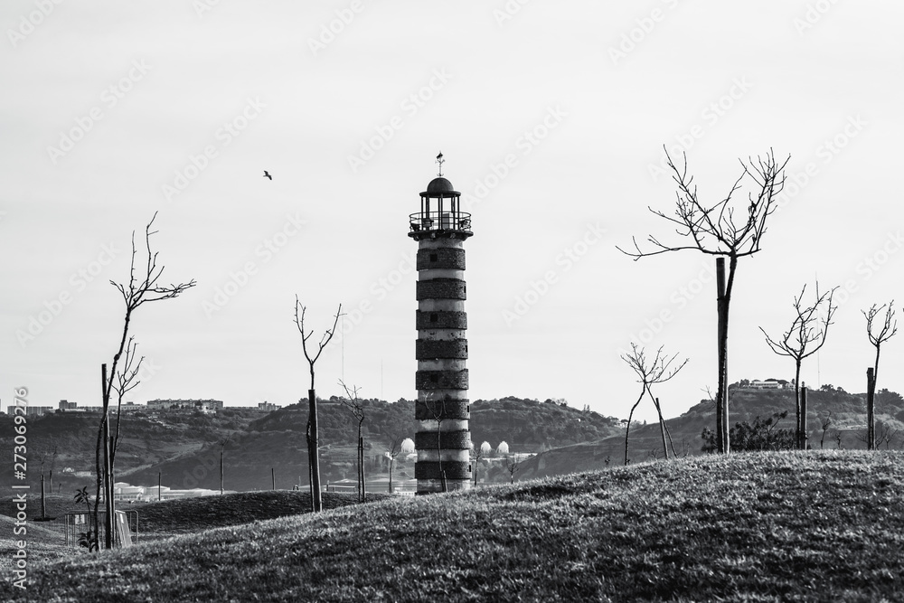 Poster Black and white shot through the bare saplings and low hills of ...