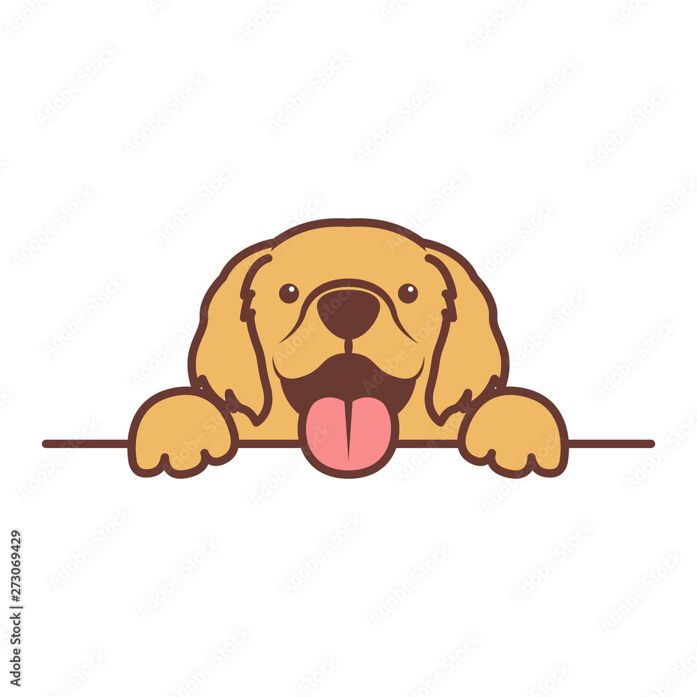 Golden Retriever Puppy Face