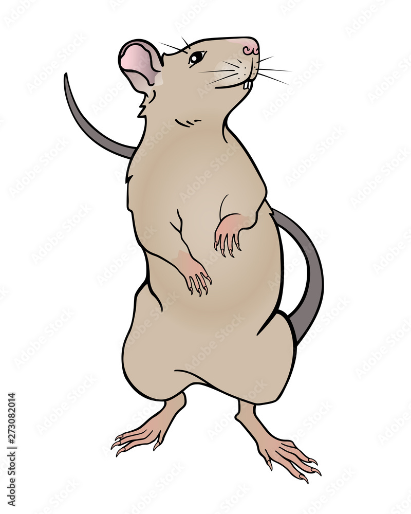 Rat beige color stands on its hind legs. Rat symbol of 2020 - full ...