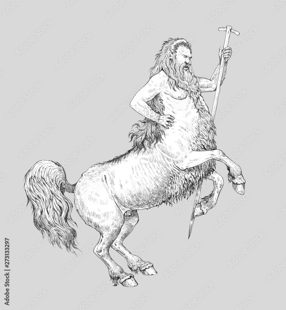Centaurus anatomy . Monster illustration. Fantasy ink drawing. Stock ...