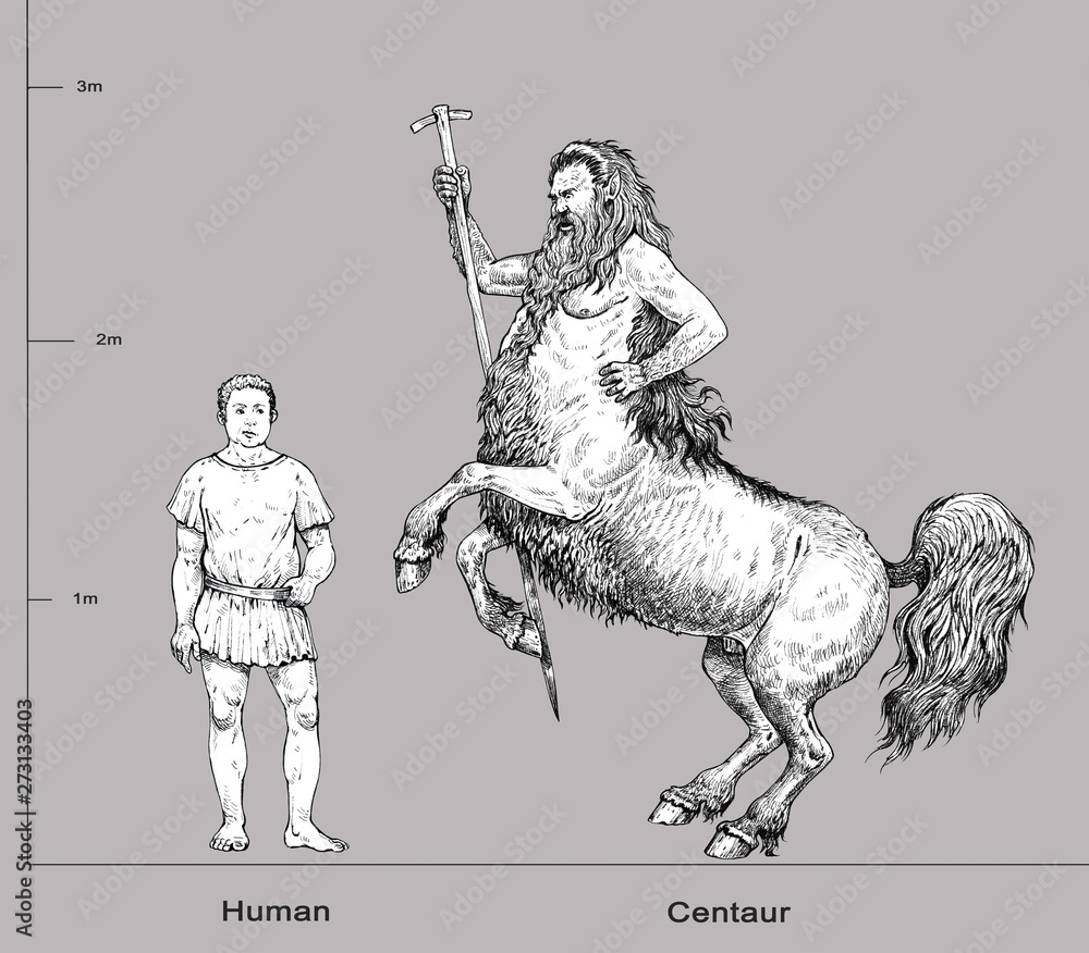 Monster illustration. Centaurus and human anatomy comparison. Fantasy ...