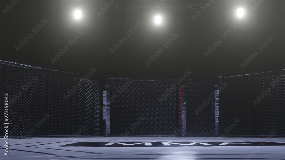 Mma arena side view. Empty fight cage under lights. 3D rendering Stock ...