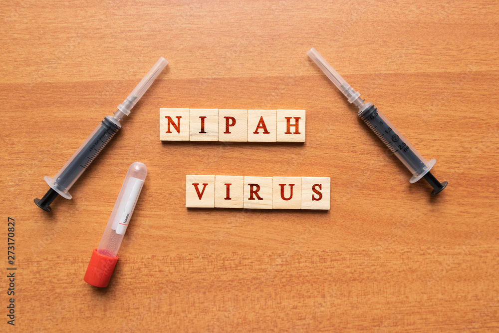 Nipah Virus on wooden textured background with syringe and vacutainer ...