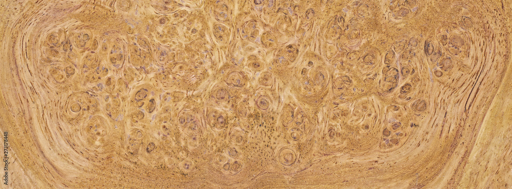 natural burl wood grain texture for banner background Stock Photo ...