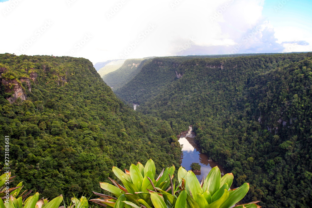 A view of the river valley, East Berbice, downstream of Kaieteur falls ...