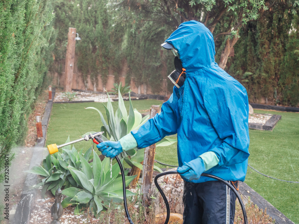 Man spraying a garden using pesticide and insecticide protected with ...