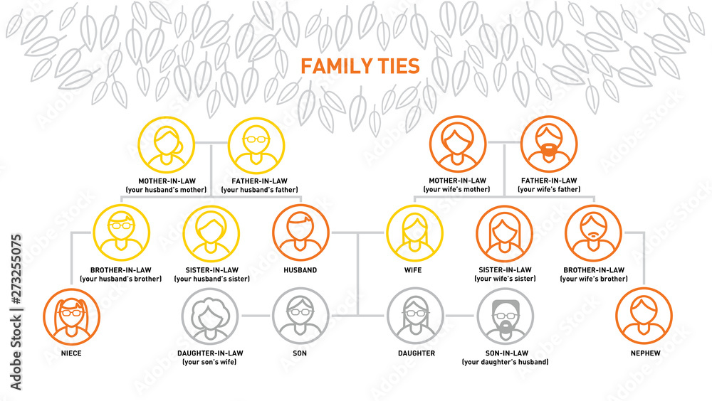 Vettoriale Stock Family diagram, family ties infographics, generations ...